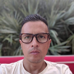 Luis Chaparro - Webflow