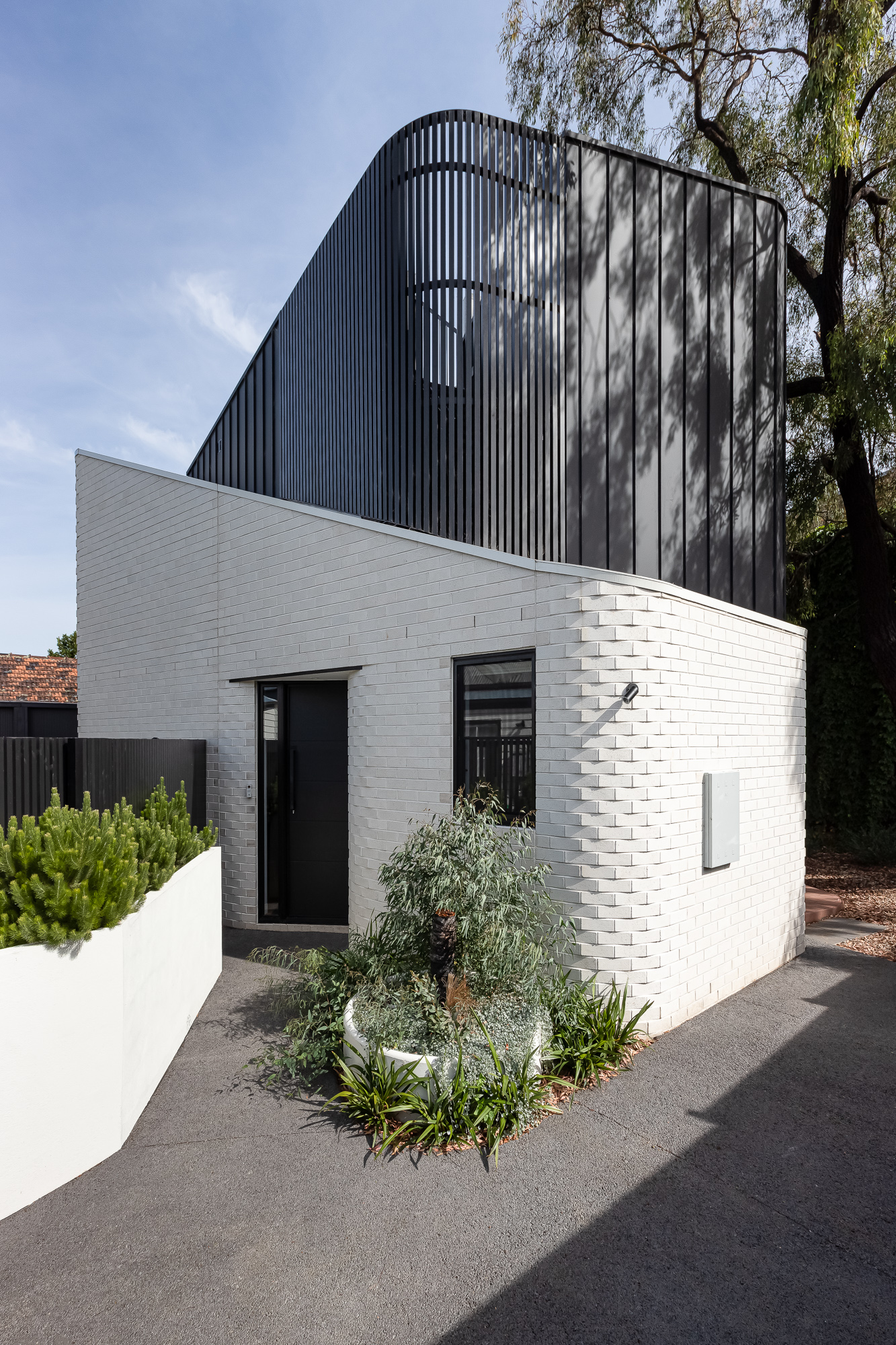 Albero House