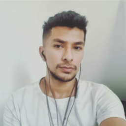 Vinicius Santos - Webflow