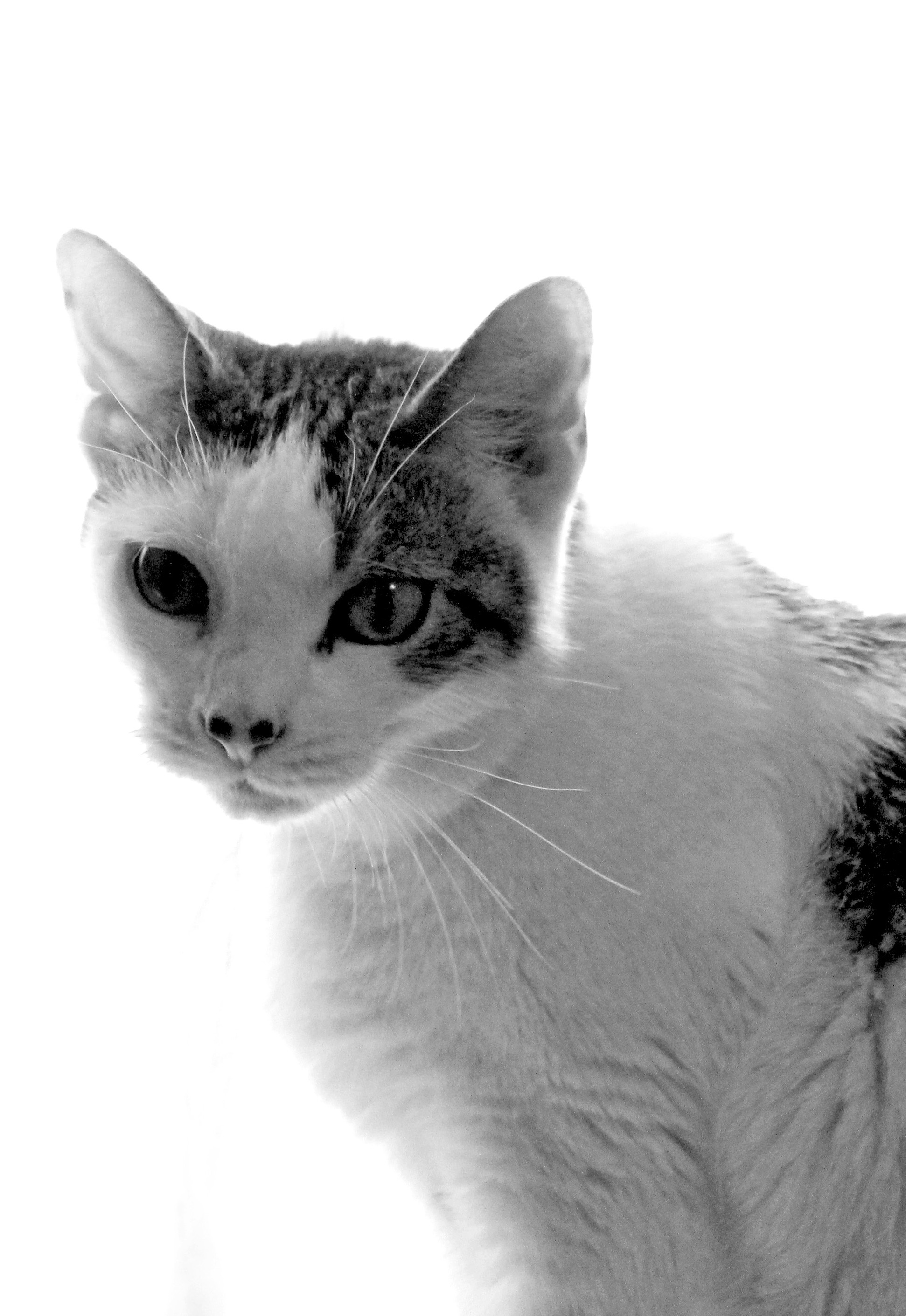 About Unison - Media - Classical Music PR, Publicity, Websites, Social ...