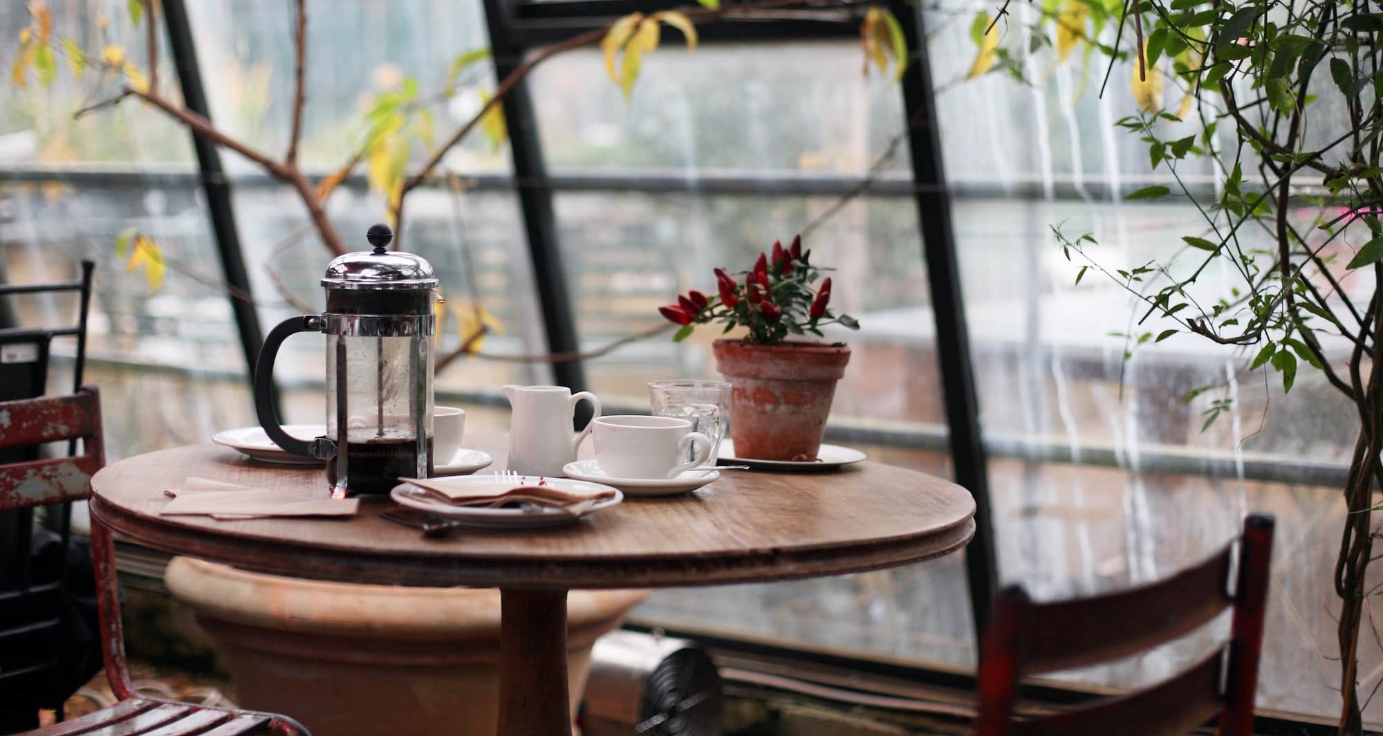 French Press 101: 26 Tips From Professional Baristas