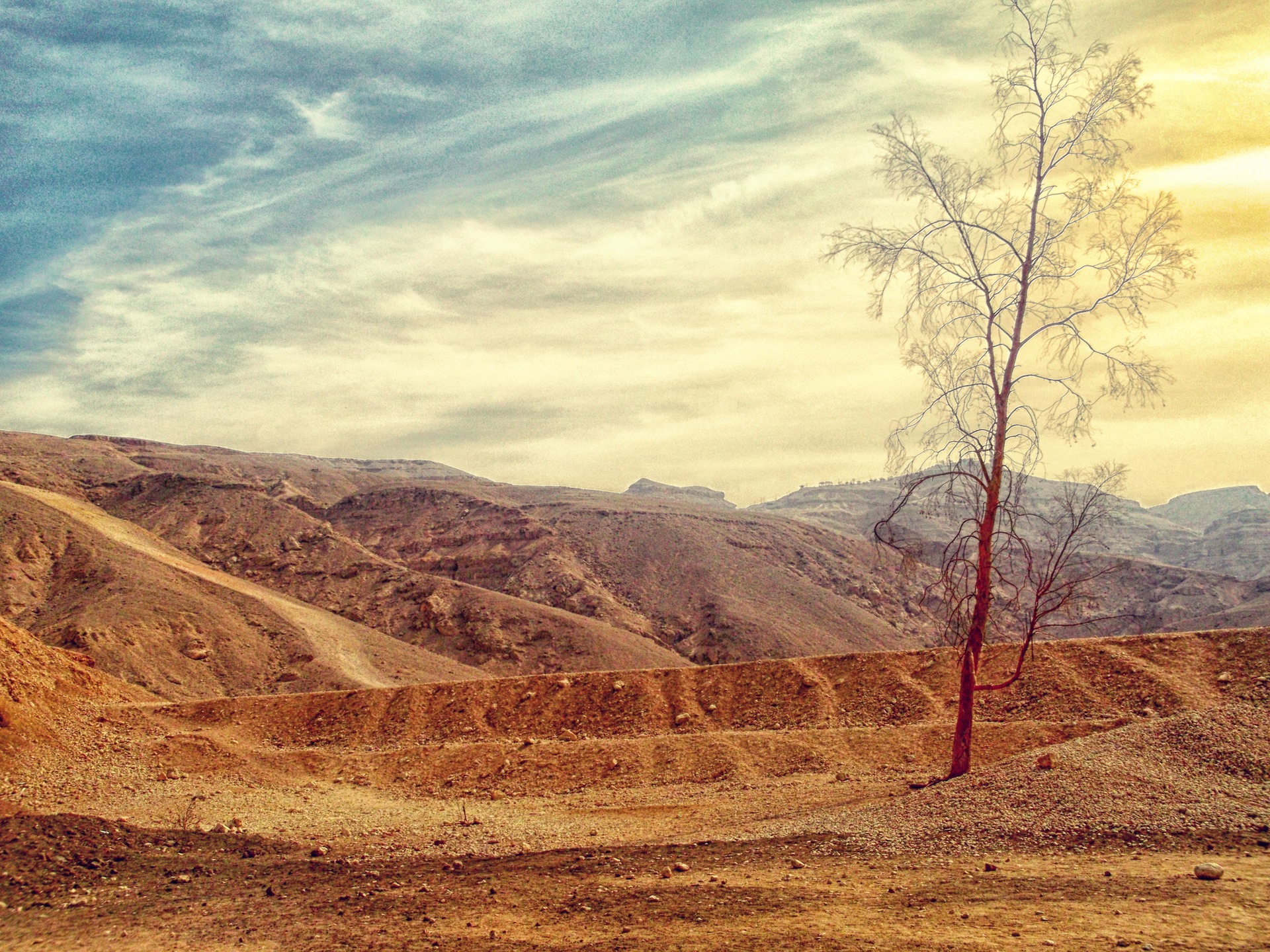 Land in Ancient Israel and Early Zionism, by Public Voice | Progress.org