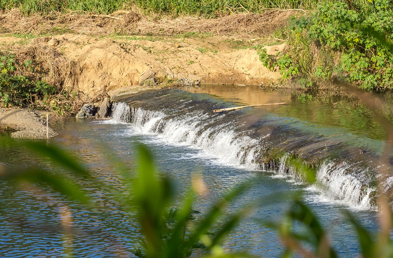 El Paseo Lineal Río Bayamón