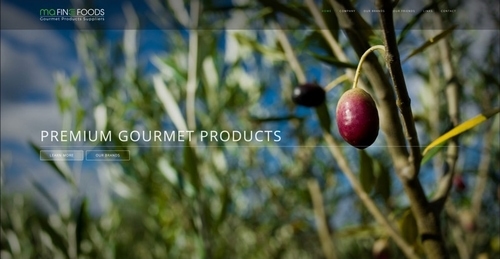 Custom and Responsive Websites | Center Point Designs