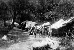 The Fepow Story | COFEPOW