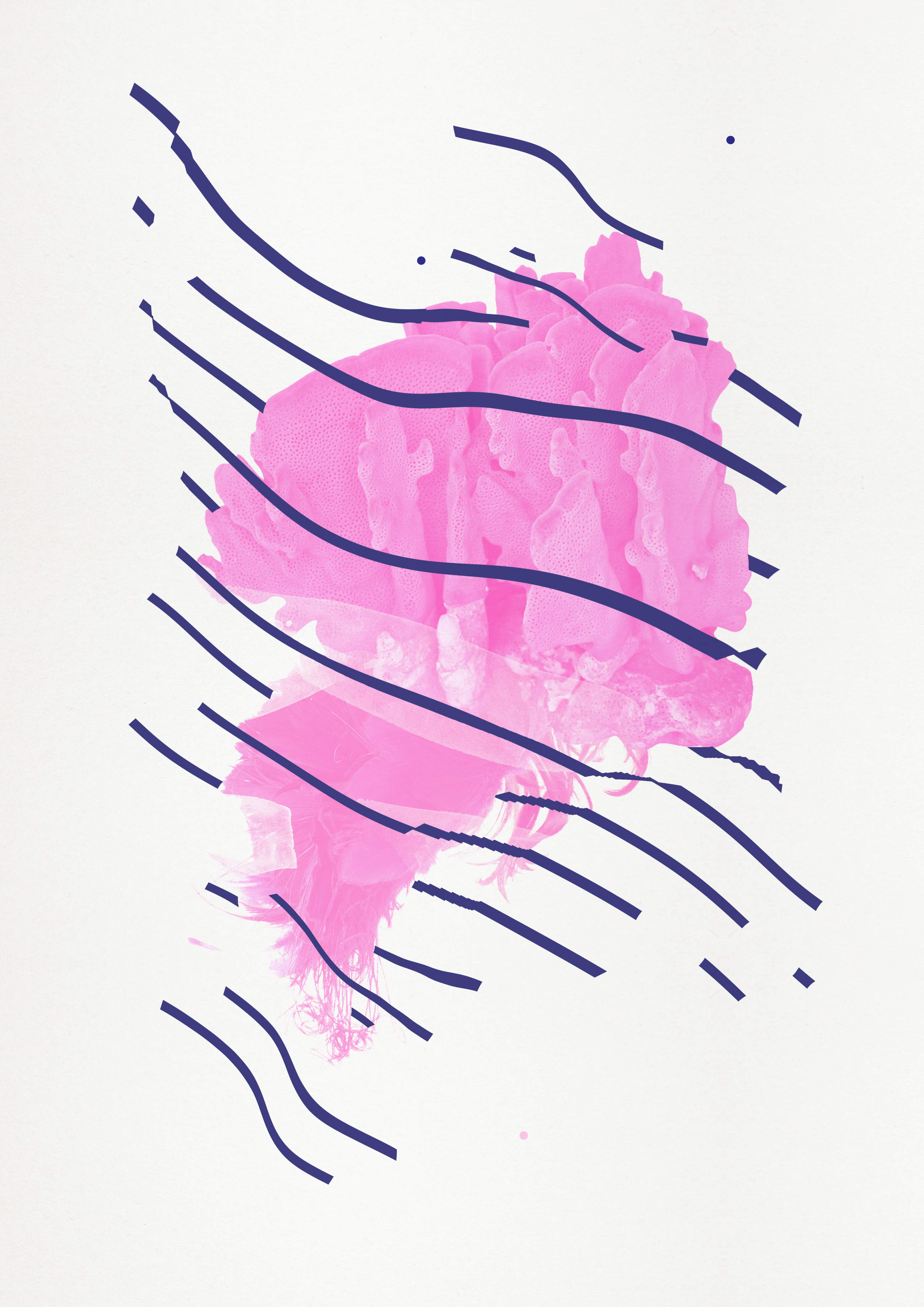 Shuimu II — Pierrick Calvez