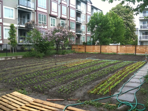 How Does SPIN Farming Work? (The 2020 Guide)