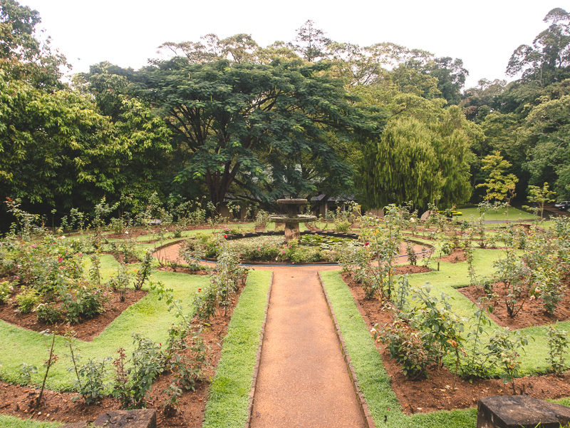 2 Days In Kandy: 8 Brilliant Places To Visit In Kandy Sri Lanka [2019]