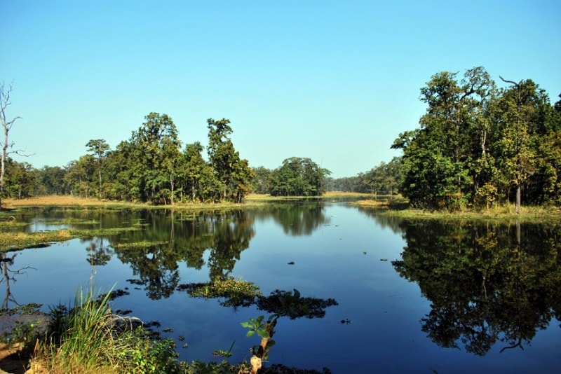 The 5 Top Things To Do In Chitwan (Nepal): Complete 2019 Guide