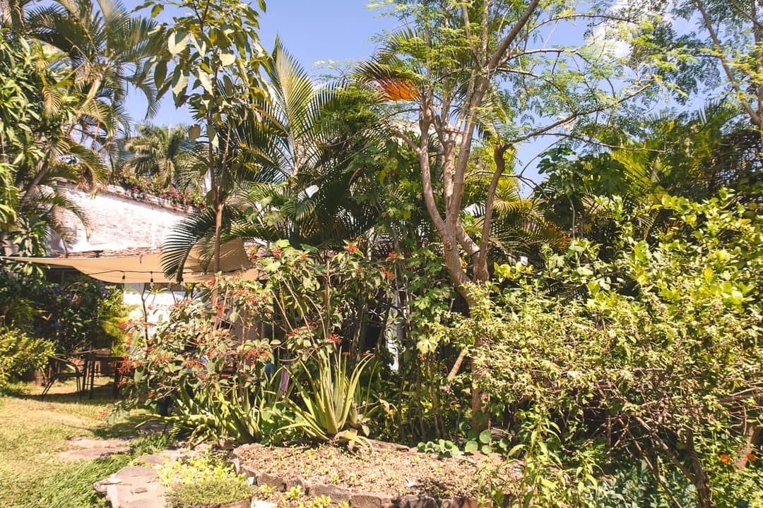 The Cinco B&B San Salvador: A Review