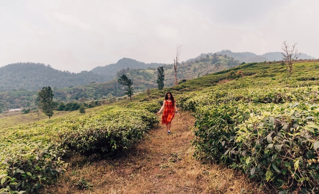 15 Best Things To Do In Bandung {Indonesia} In 2023