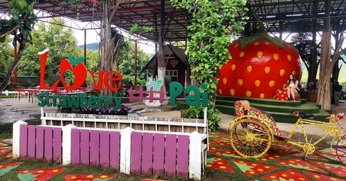 15 Best Things To Do In Pai (Thailand): 2022 Travel Guide