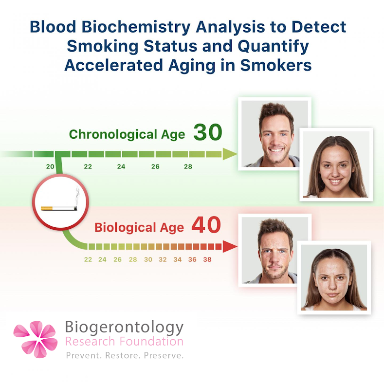 AI Quantifies the Effect of Smoking on Biological Ageing