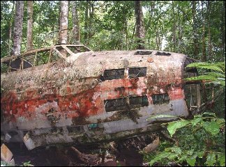 Pilgrimage to Ballalae (Solomon Islands) | COFEPOW