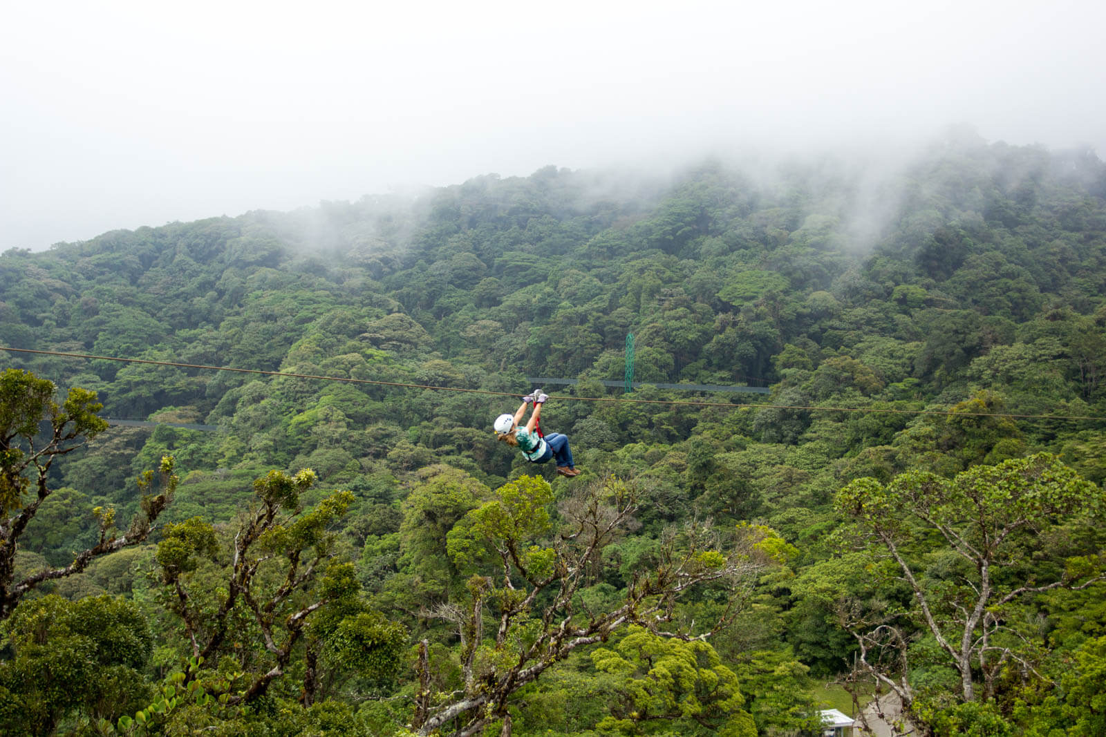 The Costa Rica Online | Monteverde, the cloud forest of Costa Rica