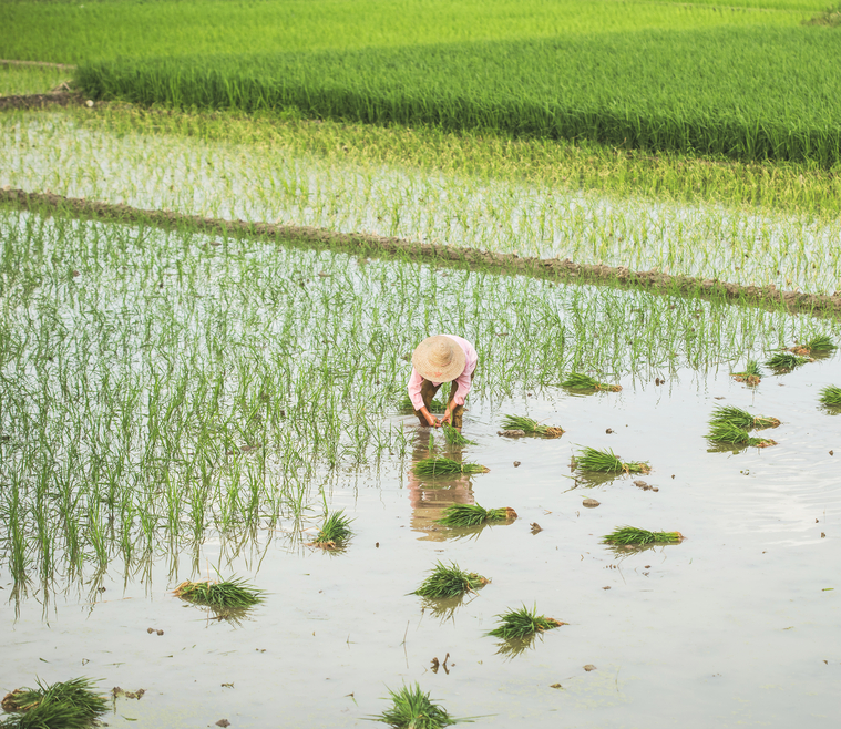 Helping small communities in rural China