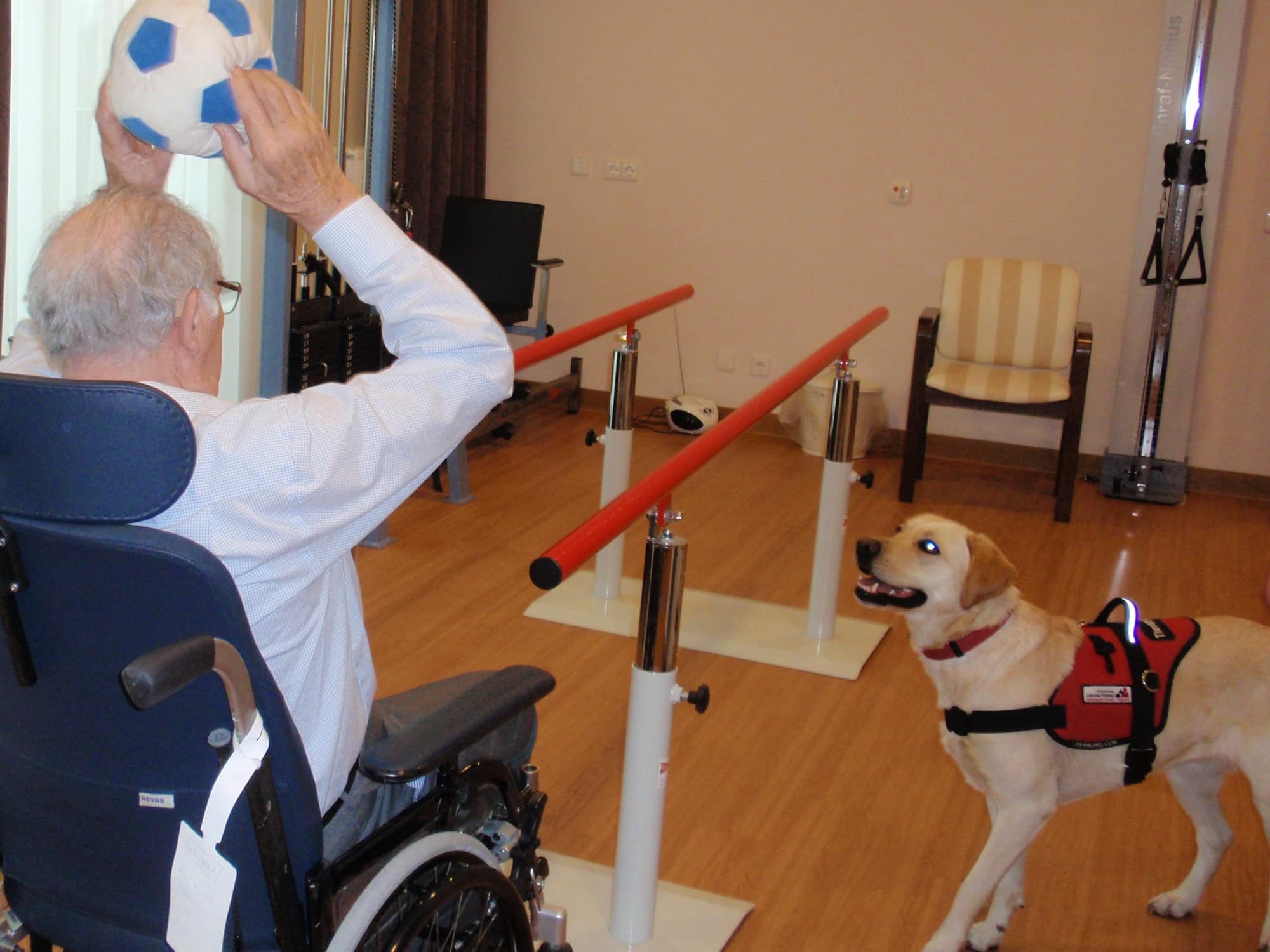 Contacthond | Over ons