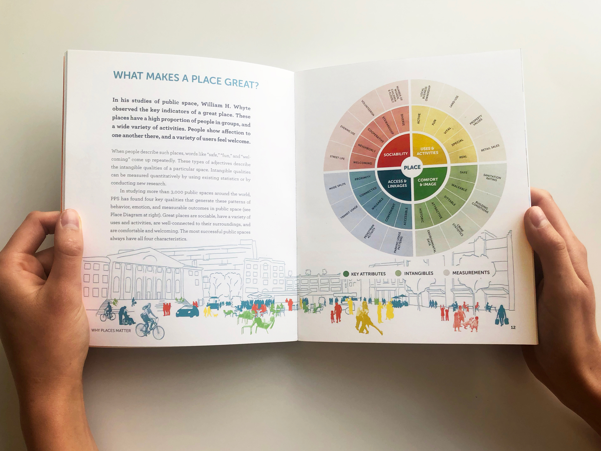 How To Turn A Place Around: A New Edition of the Book that Started the ...