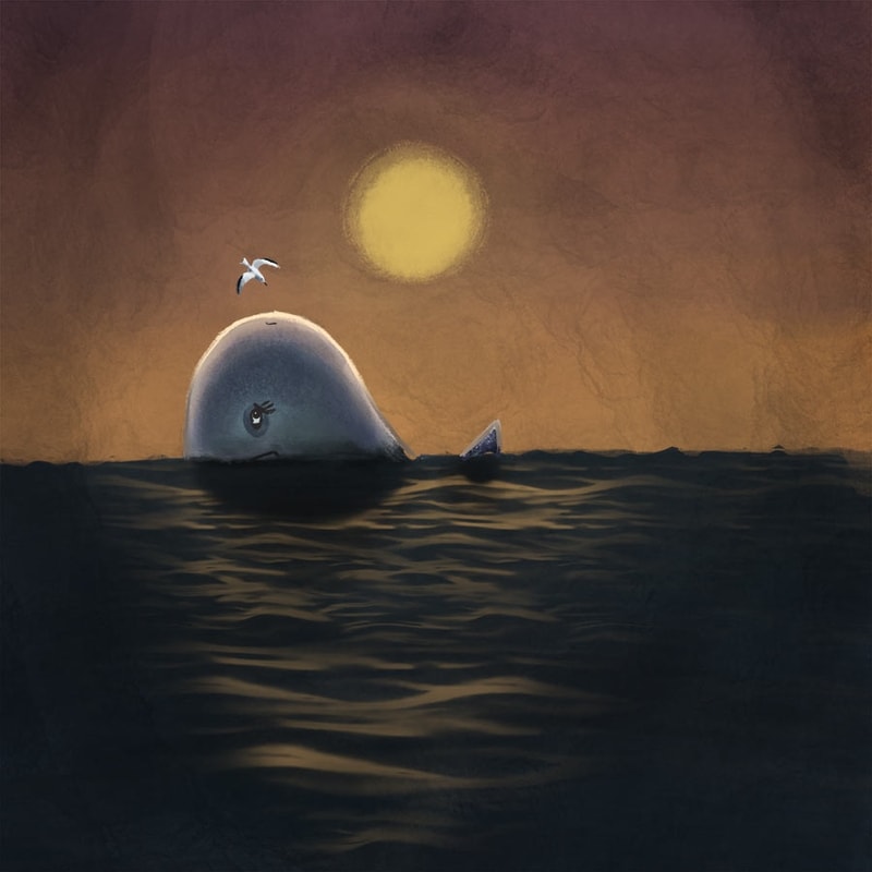 El Pájaro y la Ballena: The Bird and the Whale