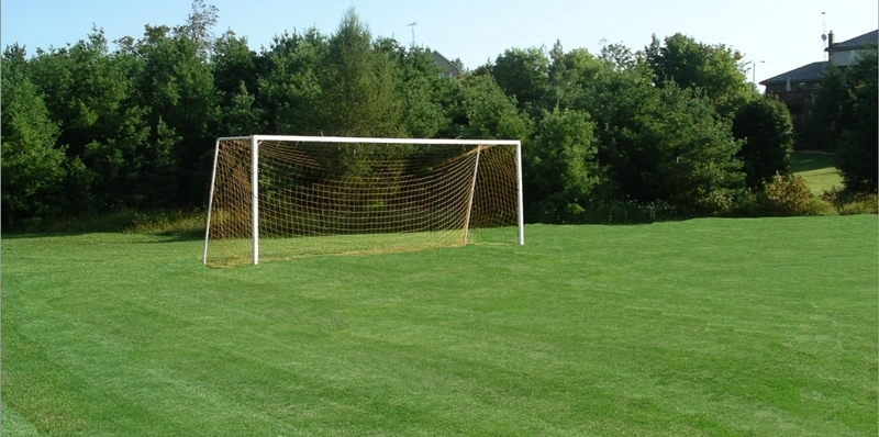 Gro-Turf® Top Dress