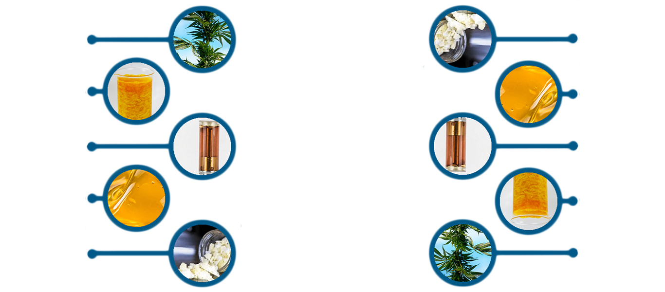 Distillate vs Full-Spectrum Cannabis Oil and Everything In-Between
