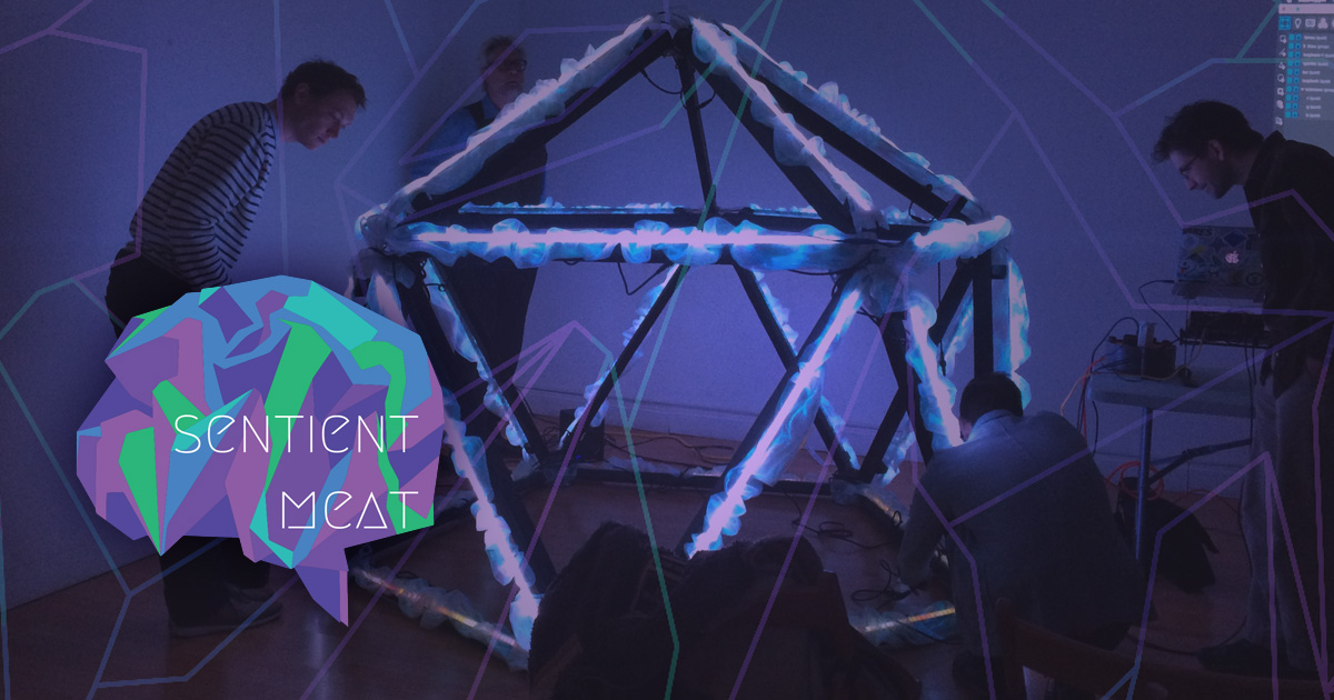 Sentient Meat - Supporing artist, arts, and community