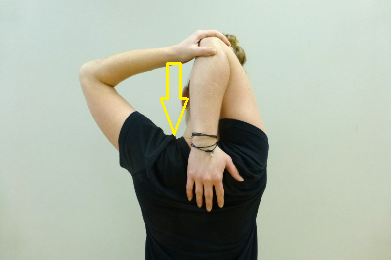 Shoulders - Live-Fit | Work-Fit