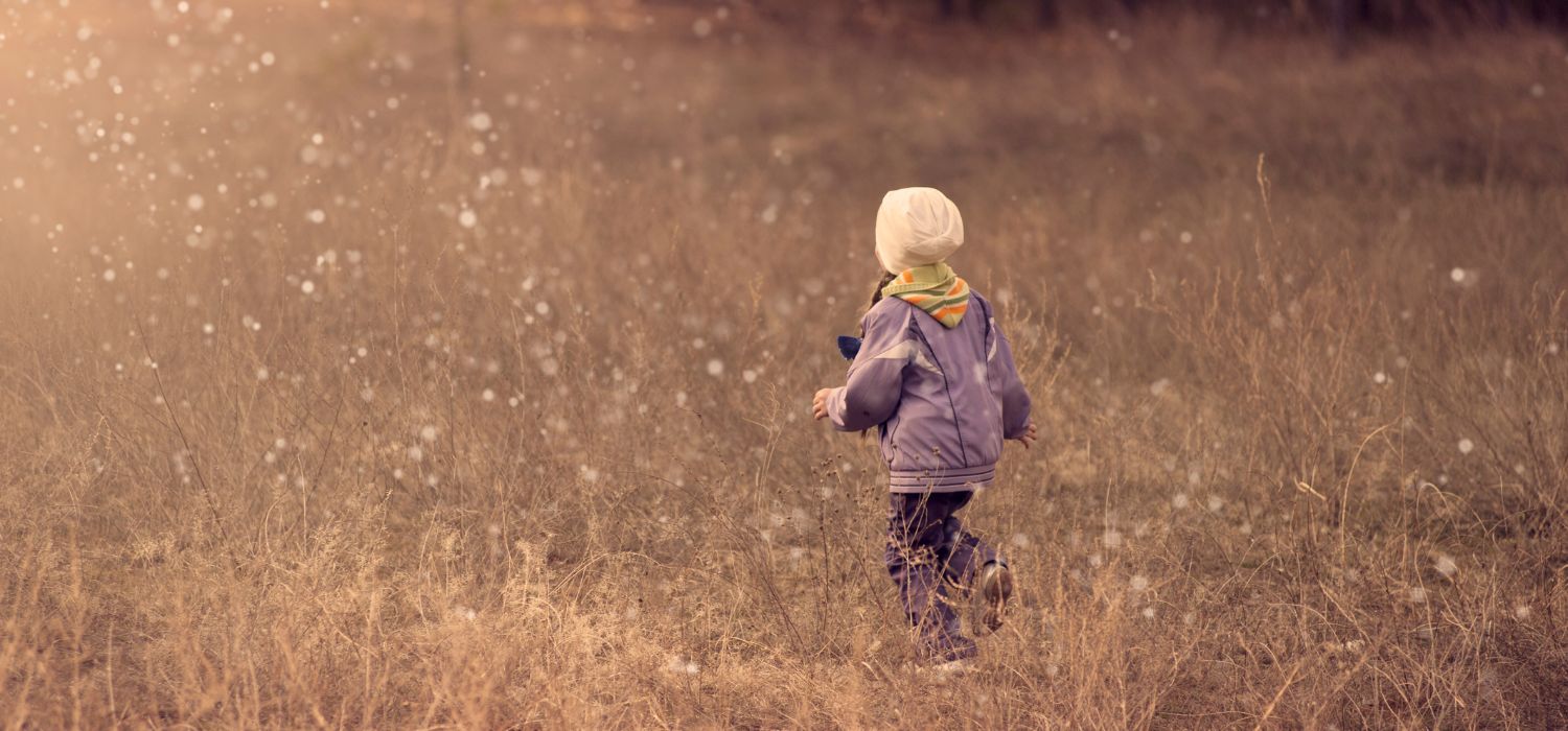 The trauma of being lost • Nipperbout