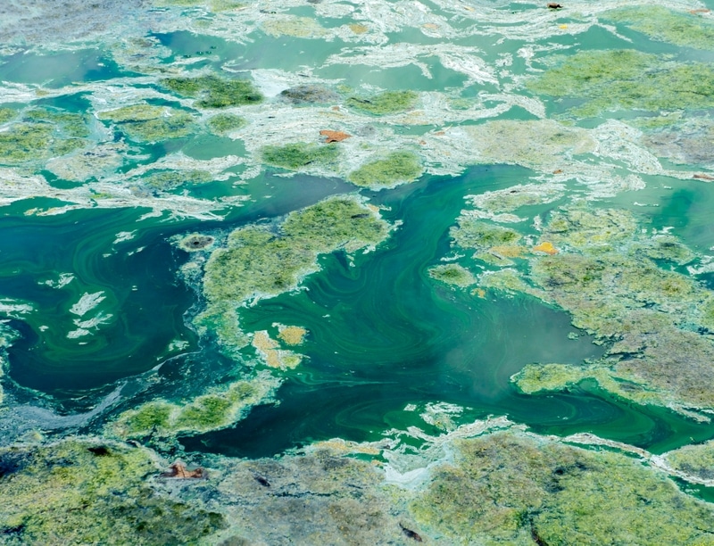 Air Diffusion Systems | Water Treatment Service Gurnee, Illinois