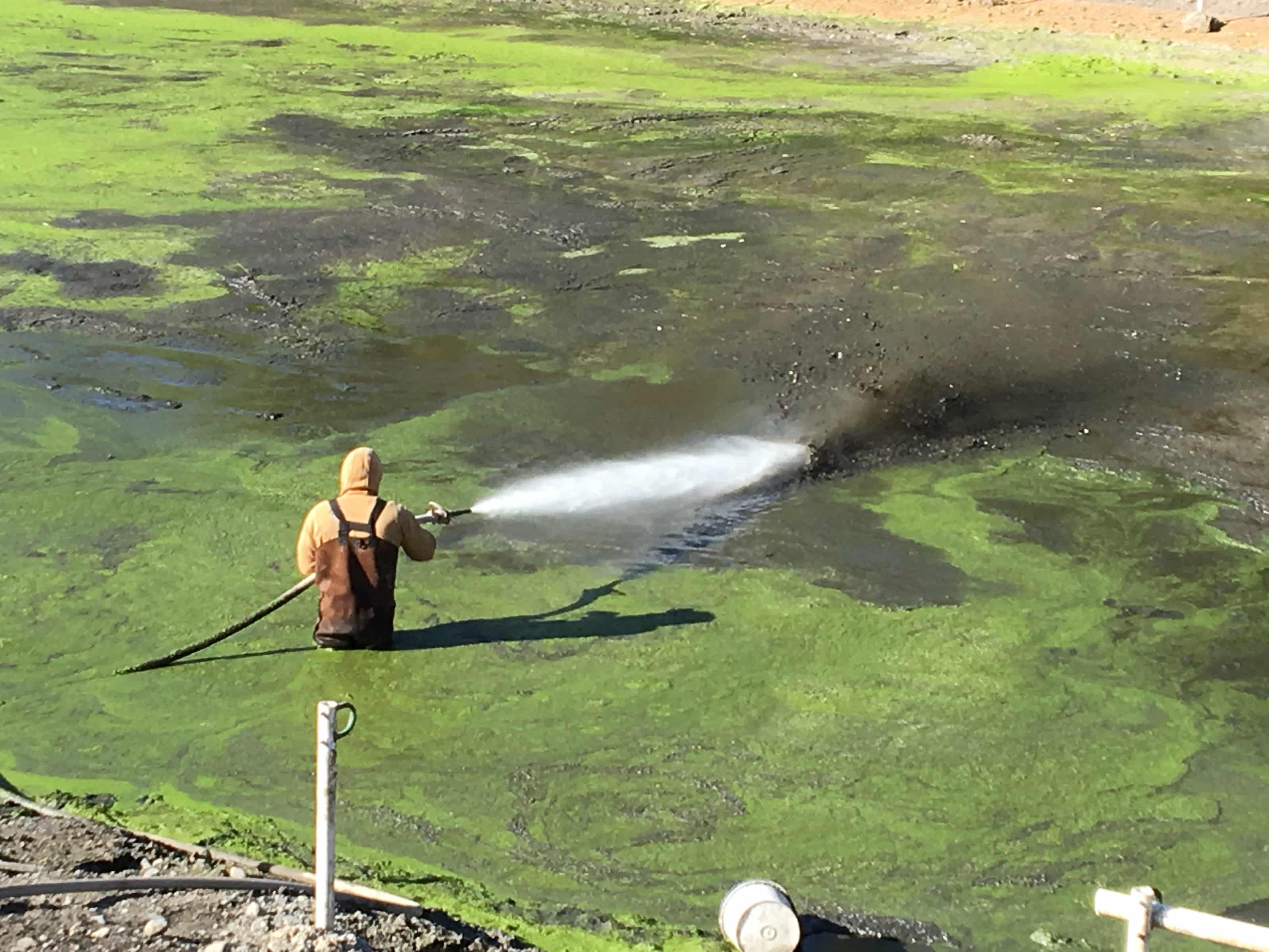 Sludge Reducing Bacteria | Air Diffusion Systems