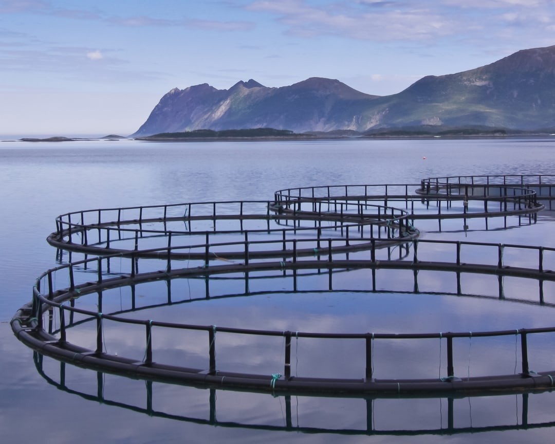 Air Diffusion Systems | Water Treatment Service Gurnee, Illinois