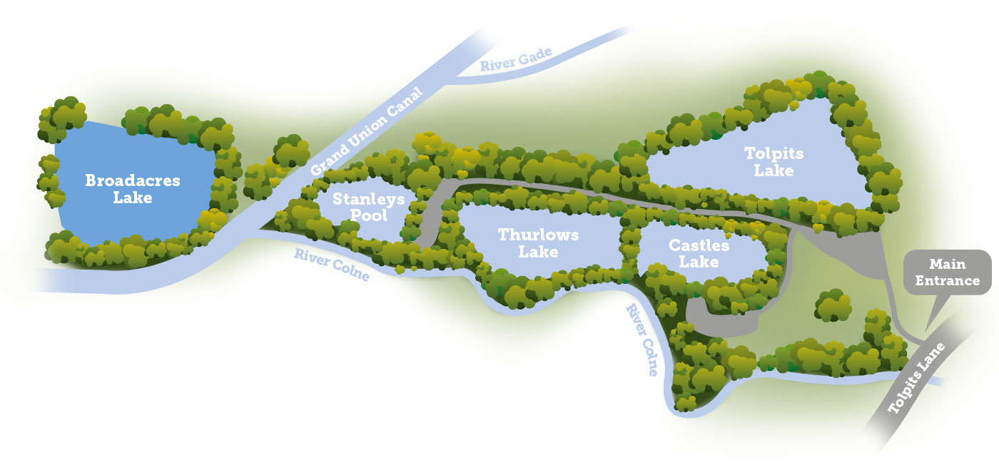 Watford Piscators | Broadacres Lakes