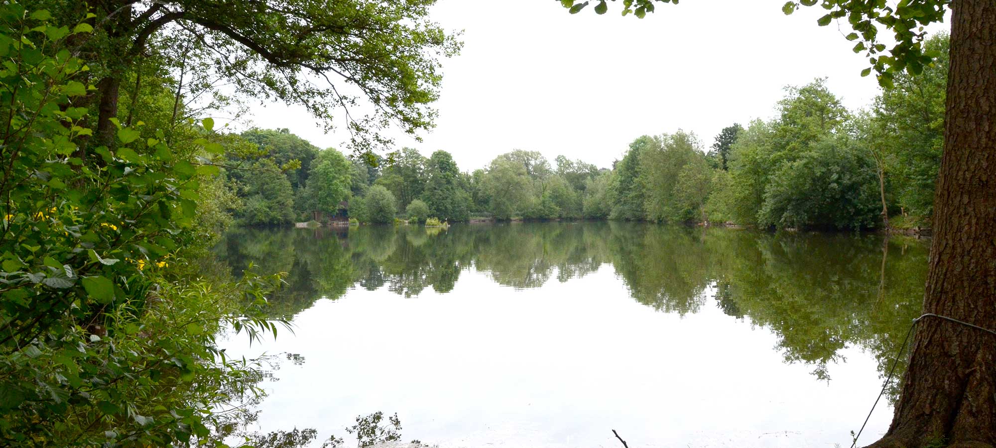 Watford Piscators | Our Waters