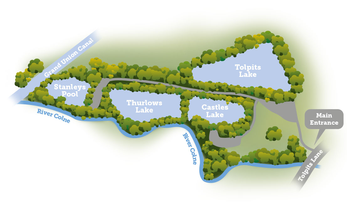 Watford Piscators | River Colne - Plantation & Ernie′s Patch