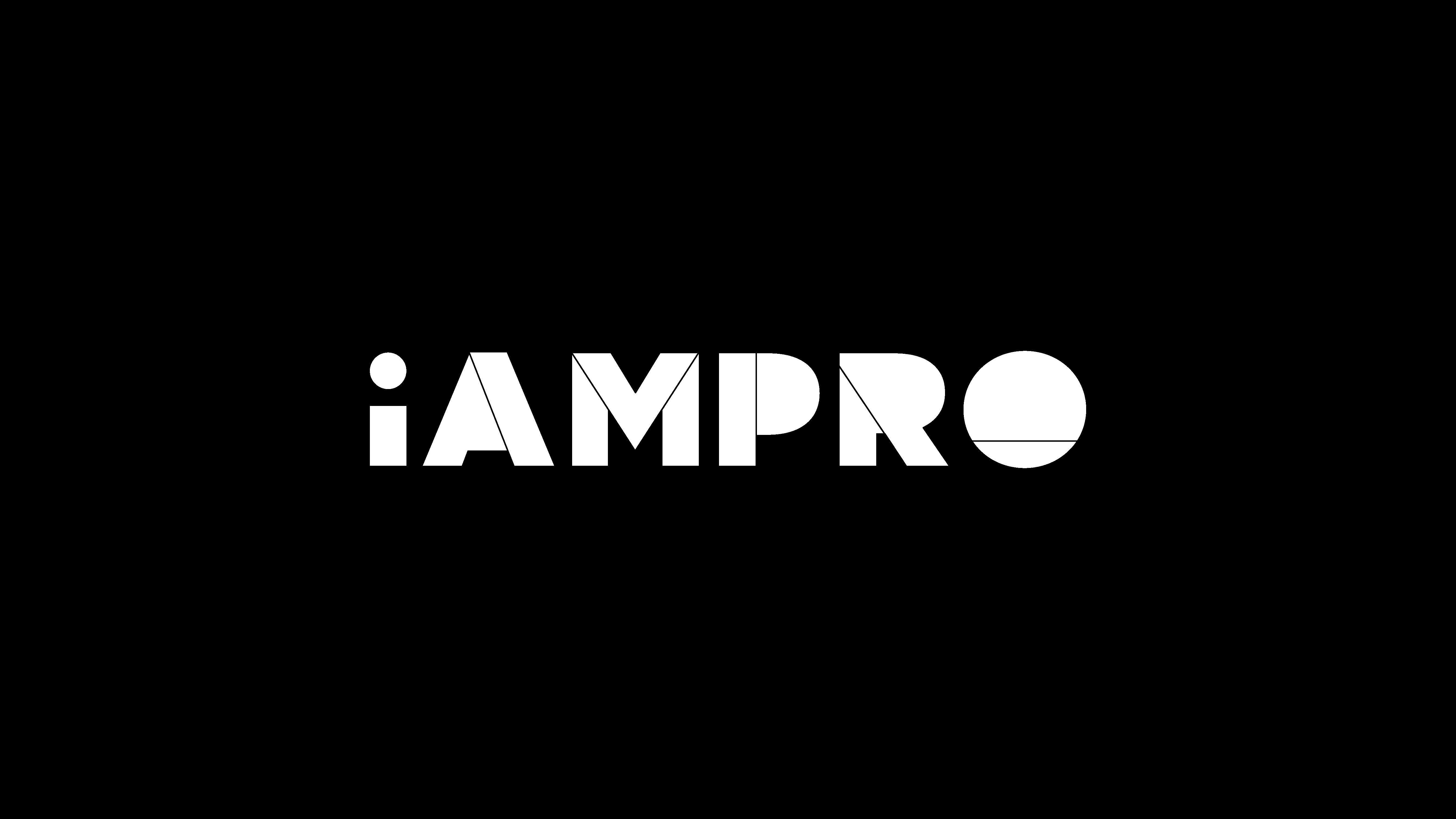 Portfolio Page 26 - IAMPRO - Logo & Brand Design