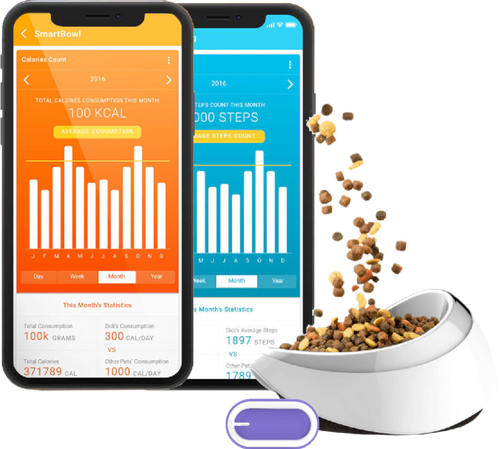 home [www.petble.com]