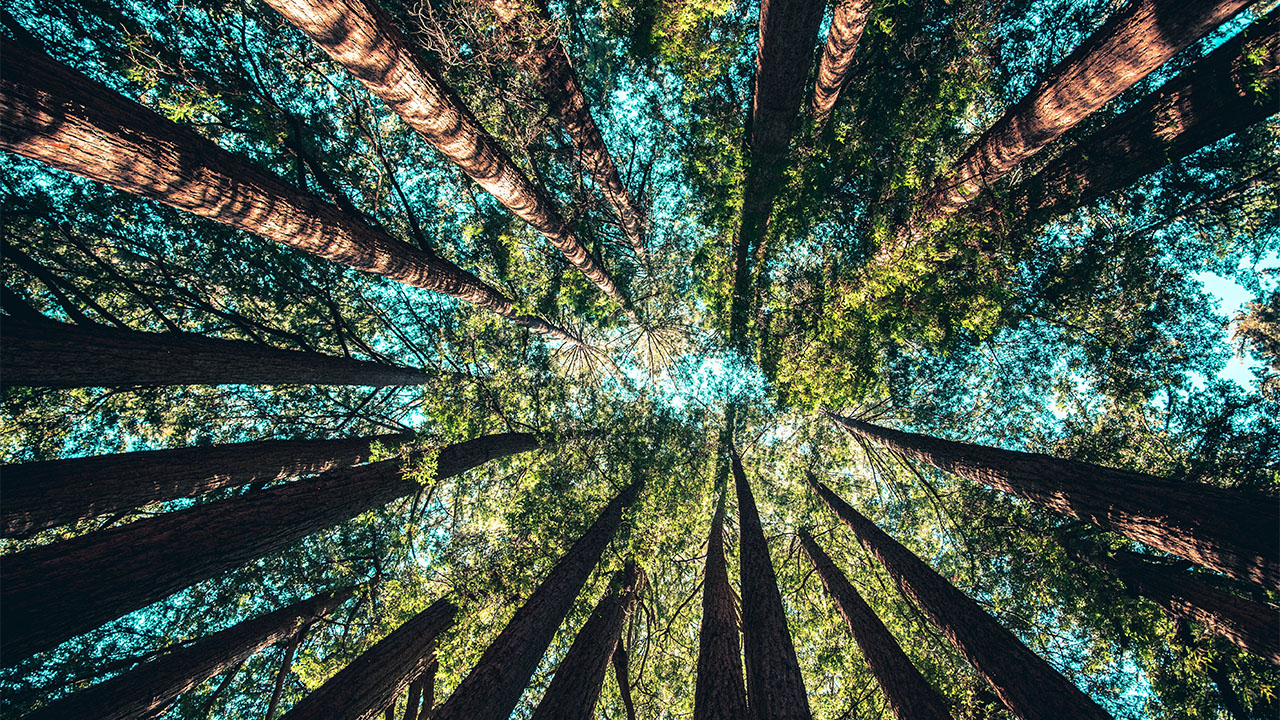 Growing People Grow Together