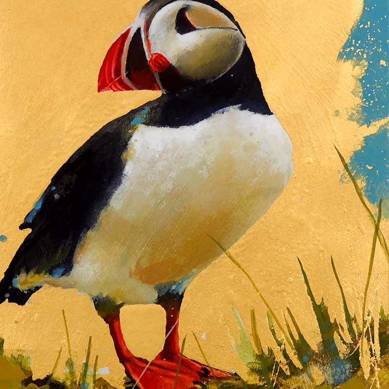 Painting Of A Puffin | Artist Garry Harper