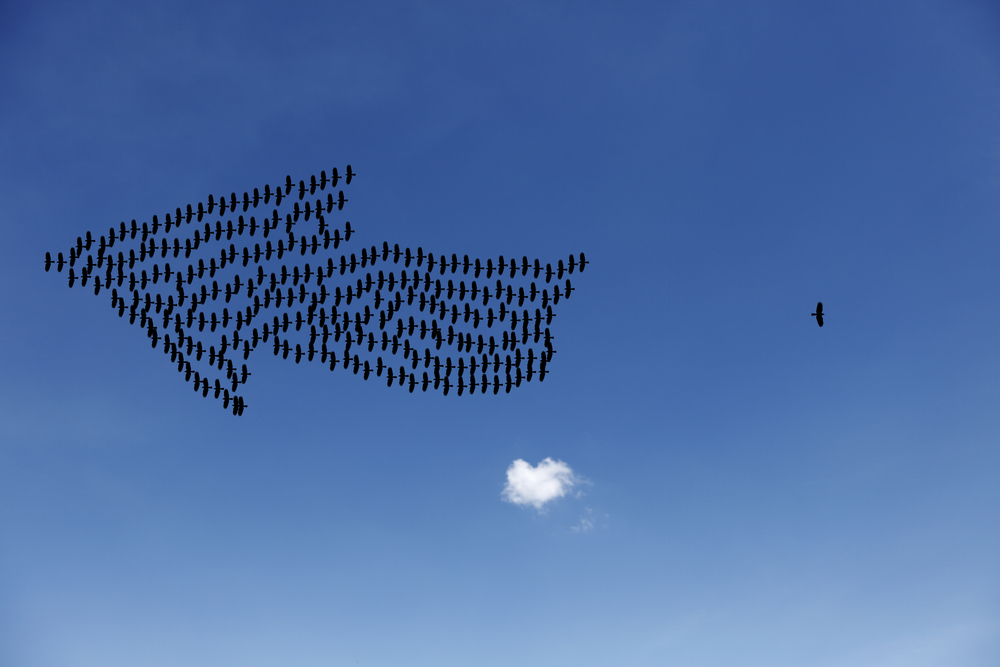 Lost Direction After a Career Break?