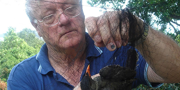 Wildlife Vets International - Vets Saving Endangered Animals in the Wild