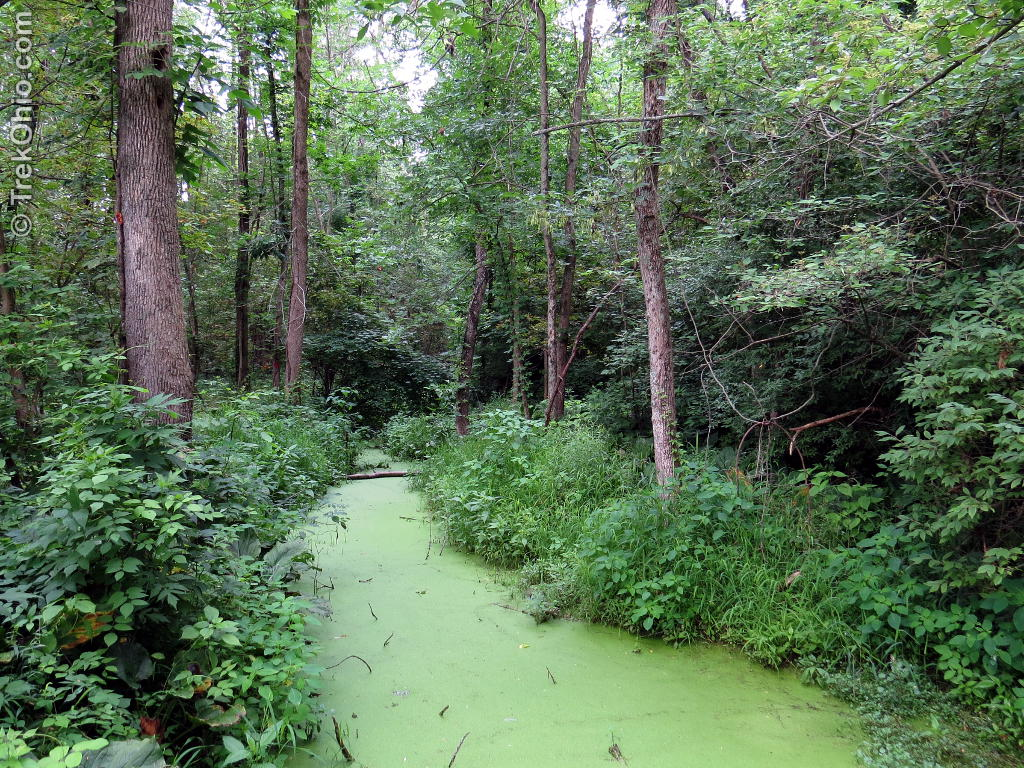 25 Reasons Why You Should Move to Enon