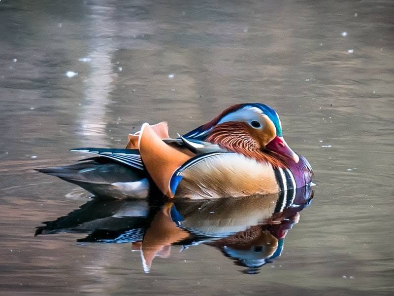 Experience Buckeye Lake