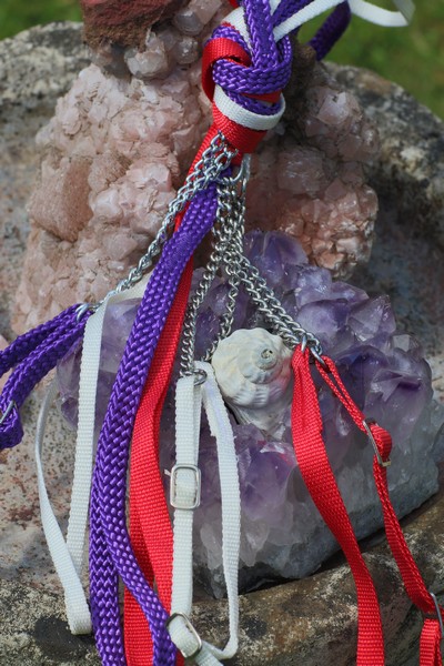 Show Leads & Collars for Dogs | Dragon Leads