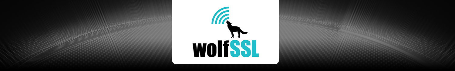 Infosec Global - Agile Crypto Solutions