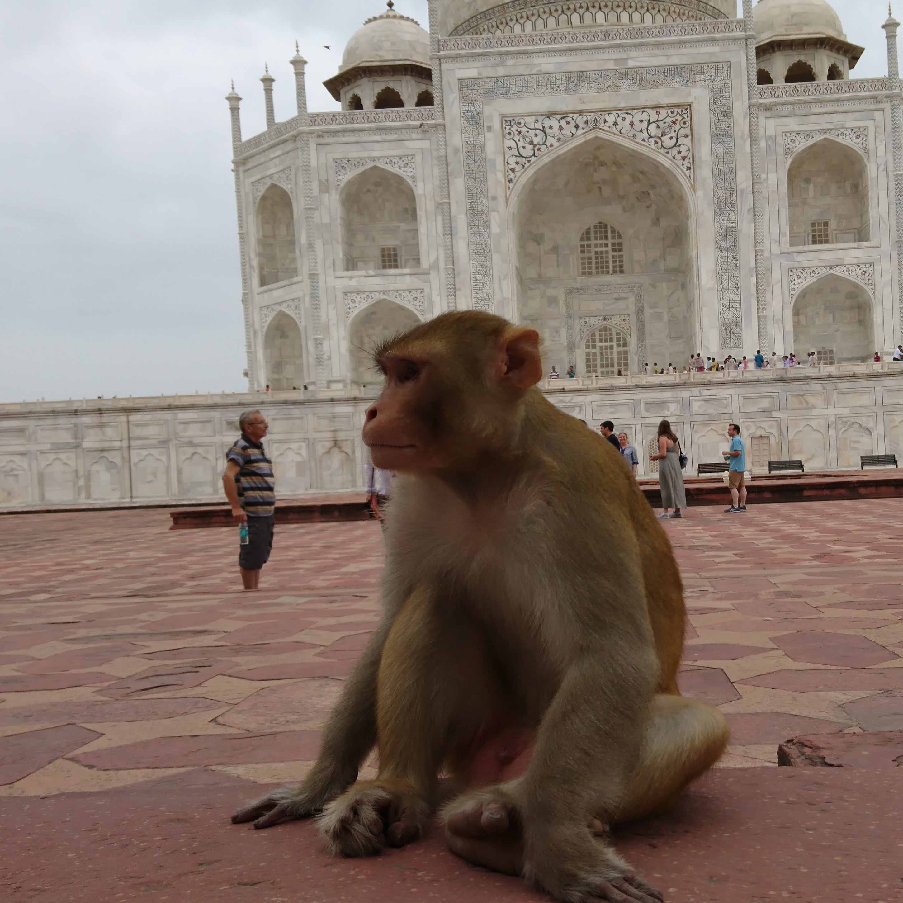 Agra and the Taj Mahal | Blog | Thomas Arthur