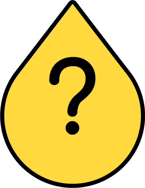 Accessibility for all Students