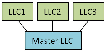 What is a Series LLC? | Illinois Series LLCs Explained