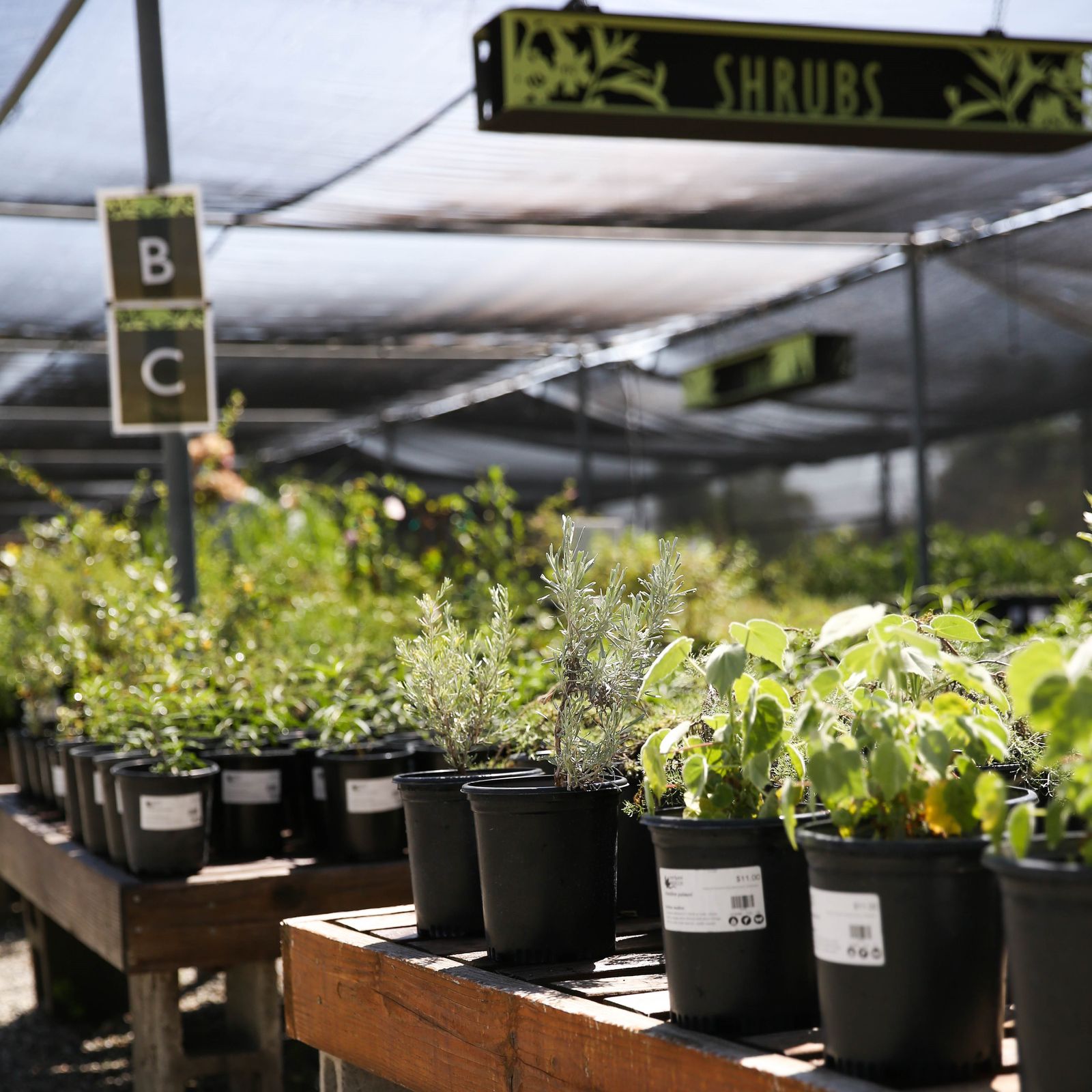 California Botanic Garden