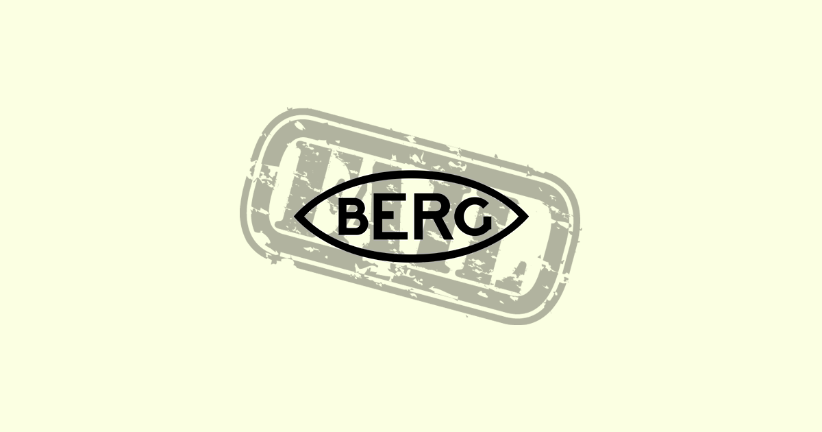 What Happened to Berg and Why Did They Fail? | Failory