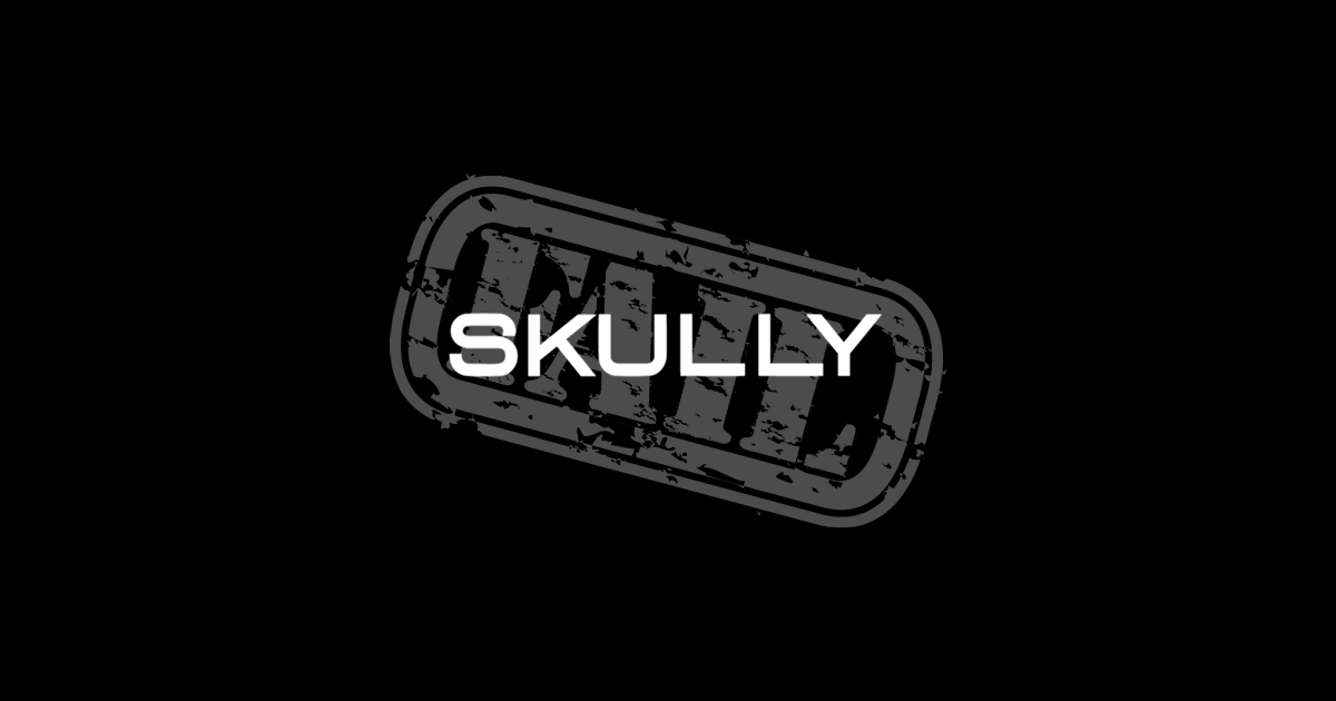 What Happened to Skully and Why Did They Fail? | Failory
